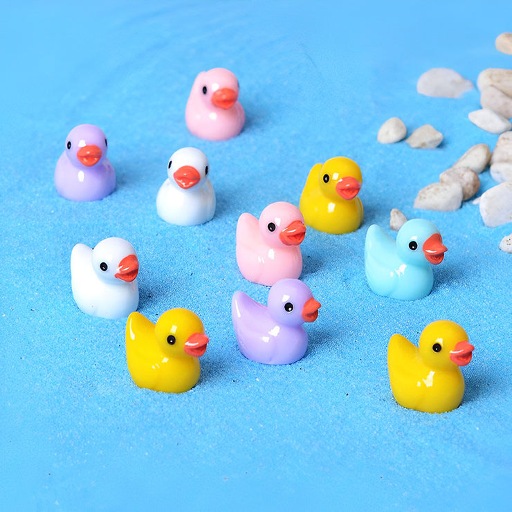 🦆Tiny Ducks | Challenge Hiding Ducks – Havegoods.uk