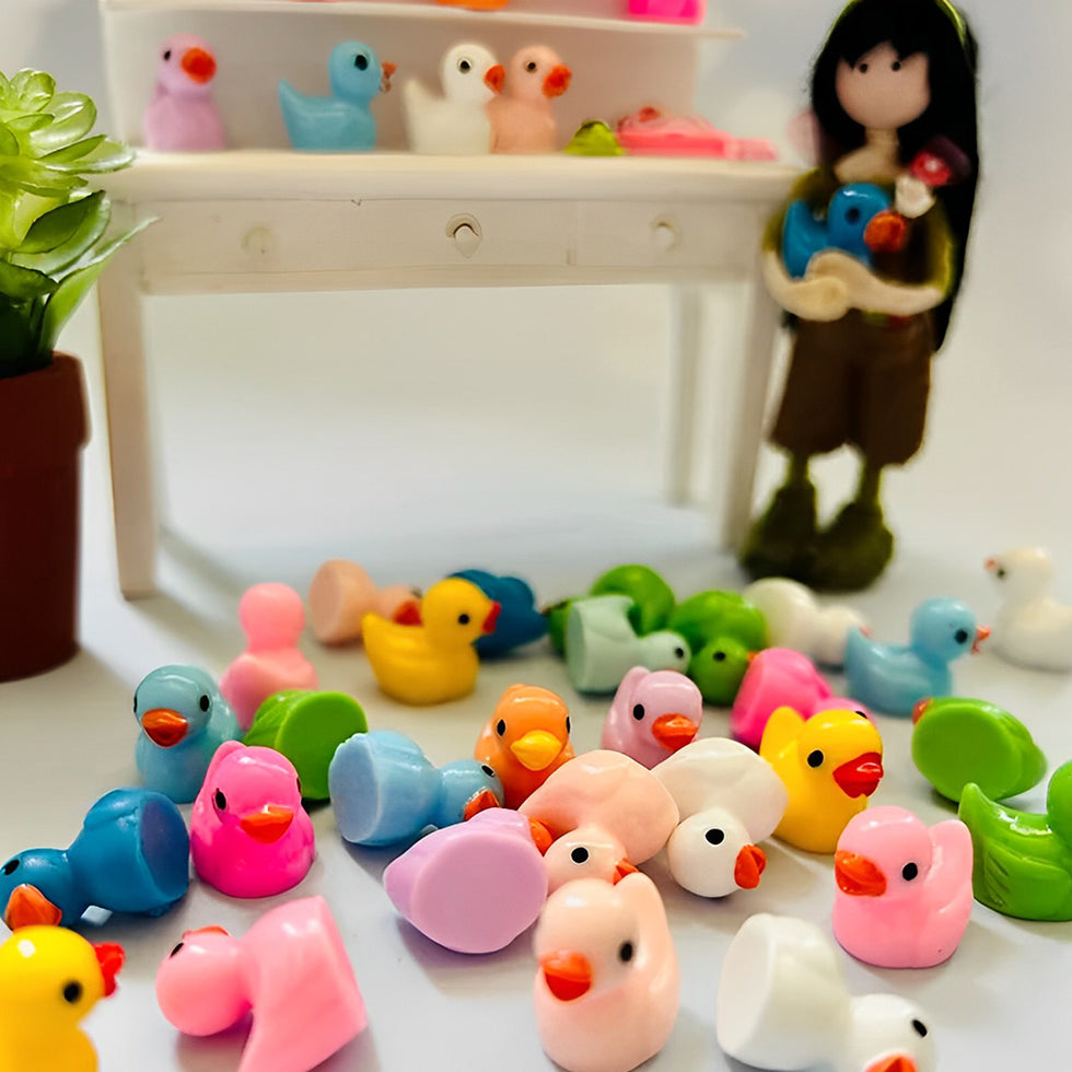 🦆Tiny Ducks | Challenge Hiding Ducks – Havegoods.uk